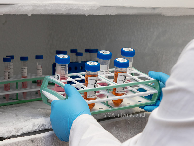 Deep-Freeze Labels - LabTAG Laboratory Labels